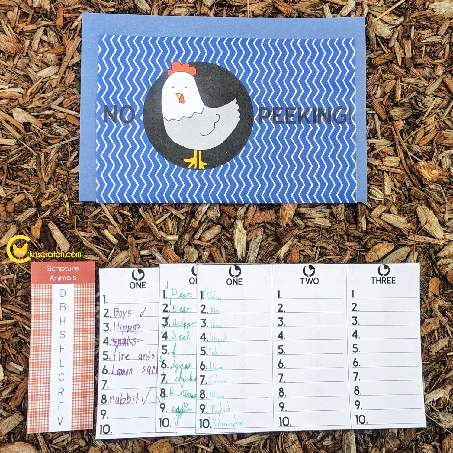 Can You Guess It? Gospel Fun Kit (Instant Download) — Chicken Scratch N ...