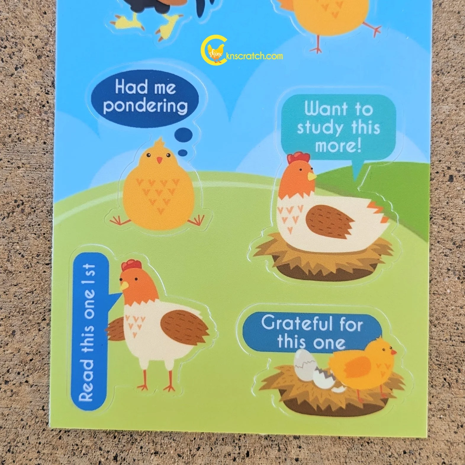 Ducks for General Conference (Ships to You) — Chicken Scratch N Sniff