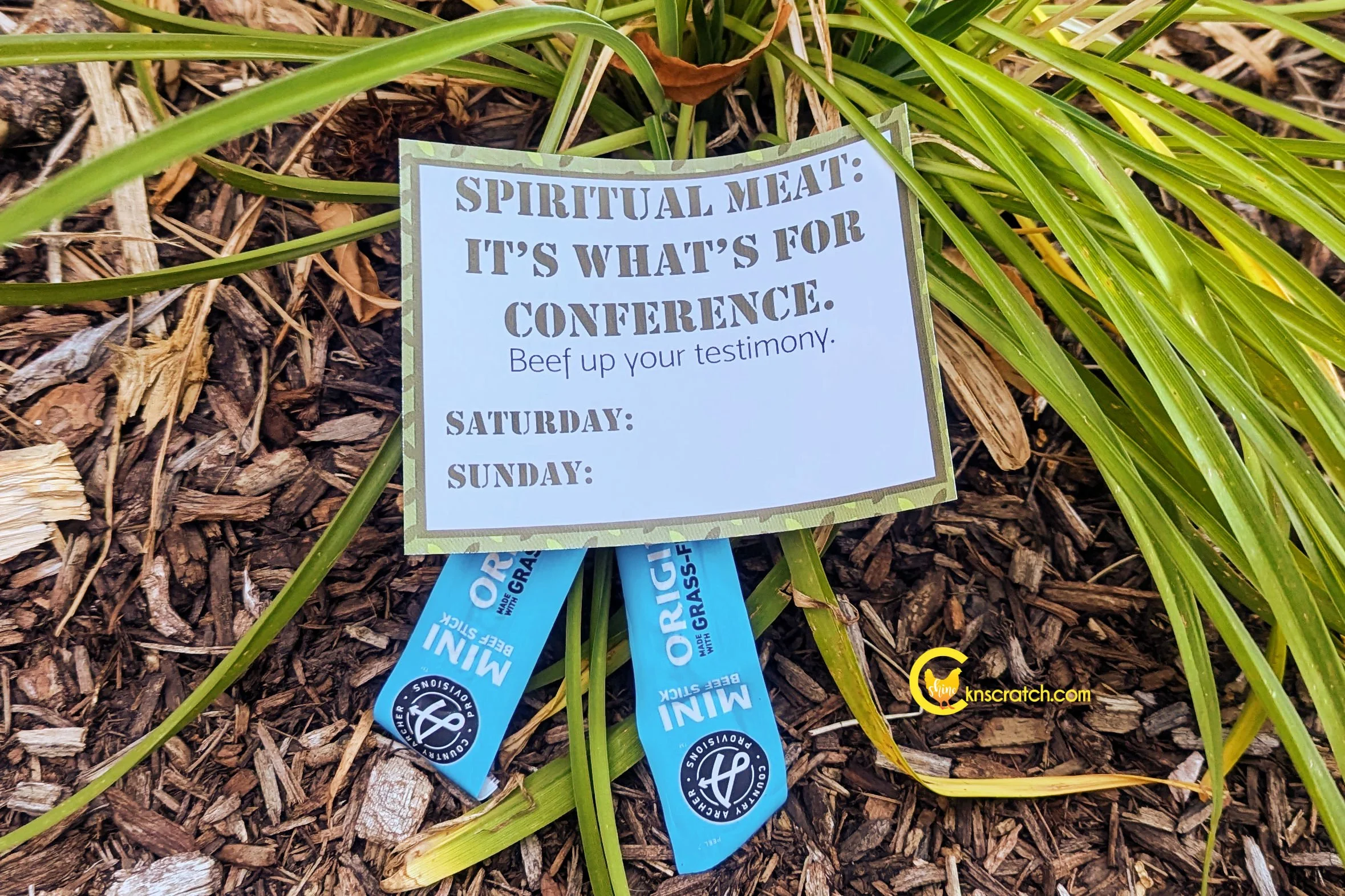 Free printable meat invites to watch General Conference — Chicken ...