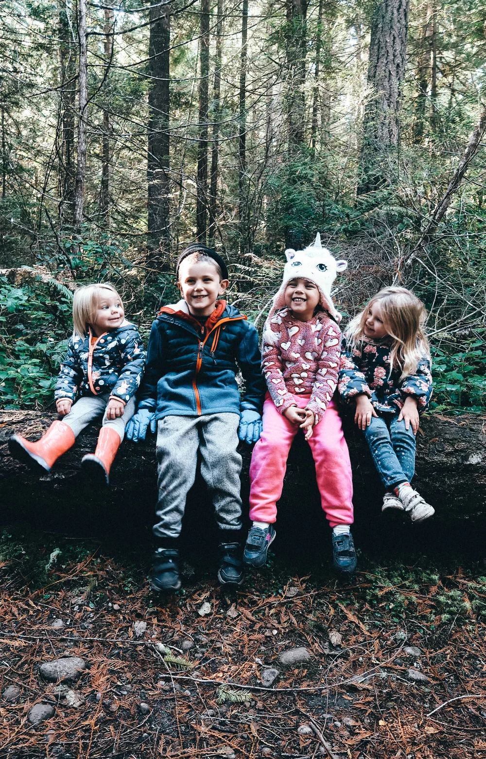 Wildcrafting Chanterelles and the Benefits of Foraging with Kids ...