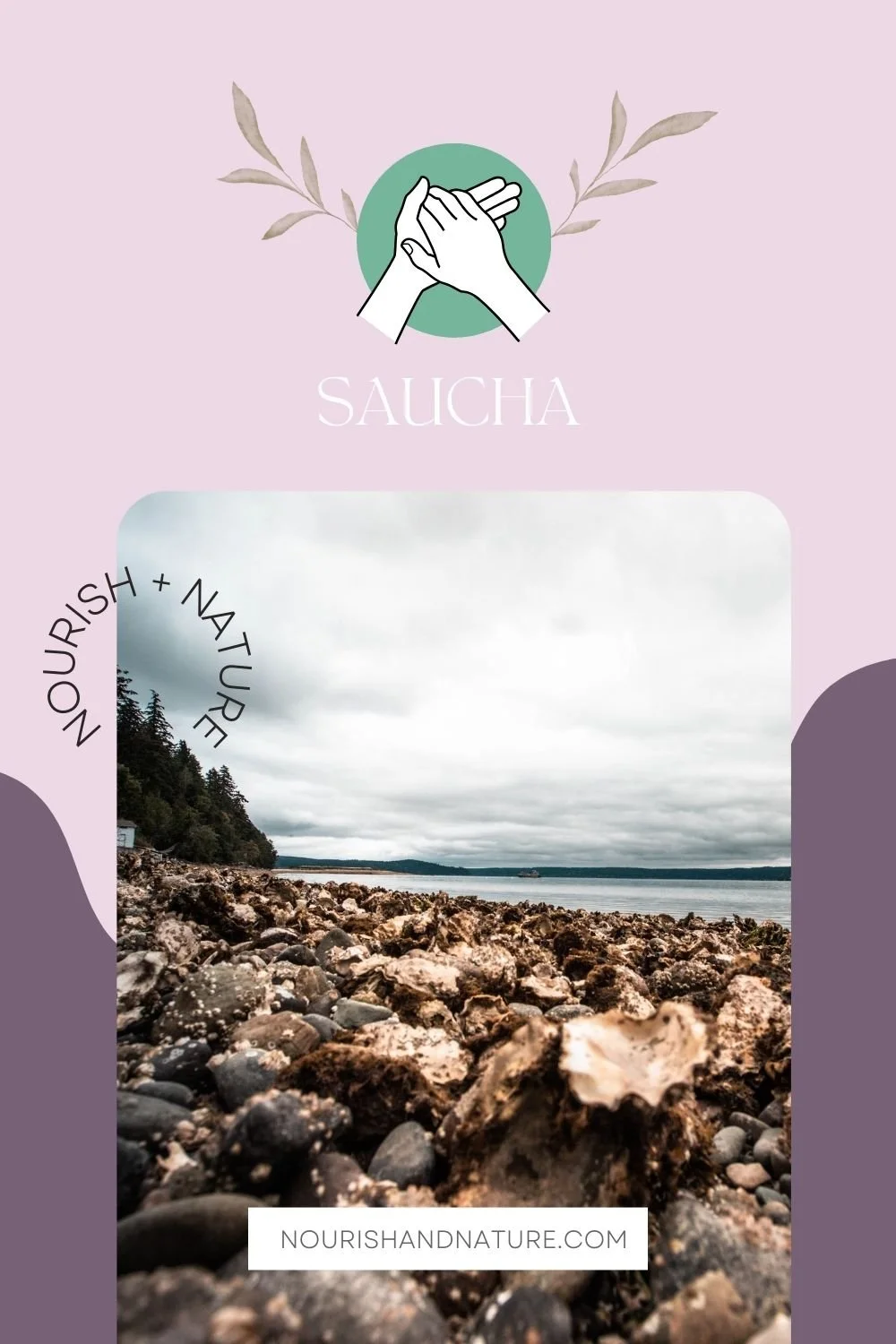 What is Saucha? (...and how can this apply to my life?) — Danielle Arias