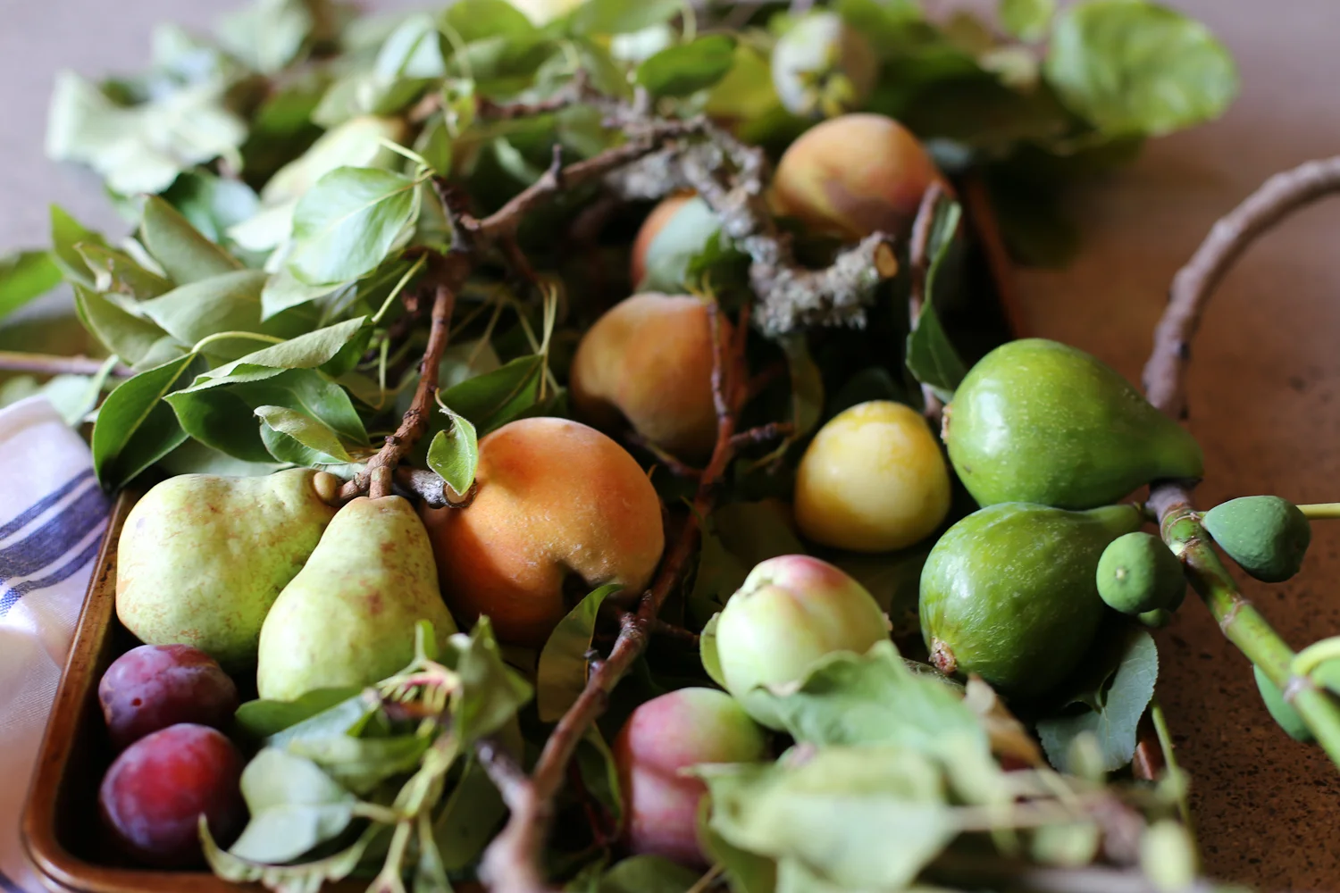 Girl Meets Dirt |San Juan Islands grown heritage fruit preserves ...