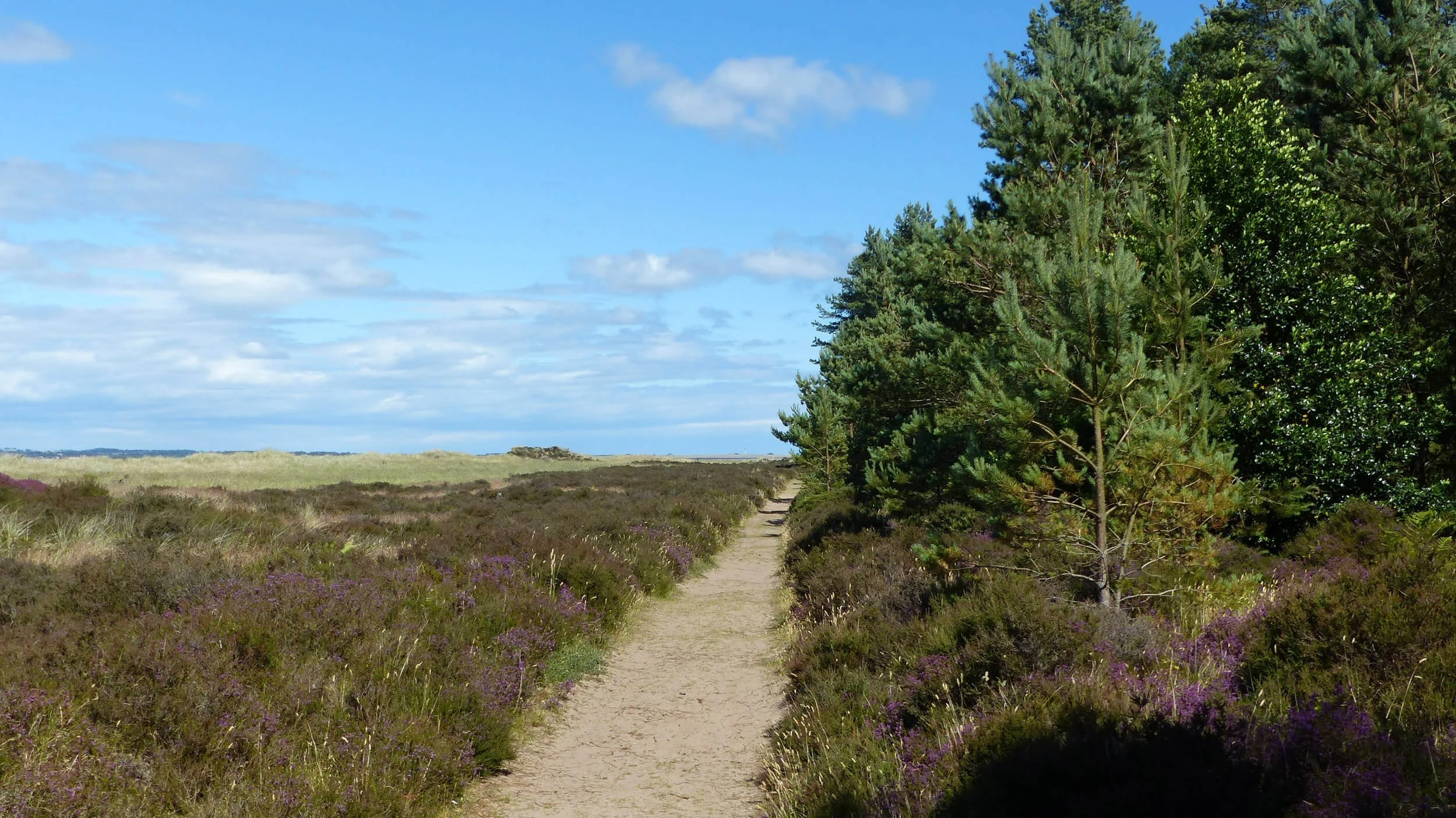 Group Coaching — Walking Coach®