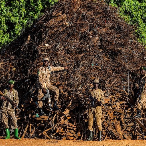 12-tonne mountain of metal traps reveal Uganda’s ongoing battle against ...