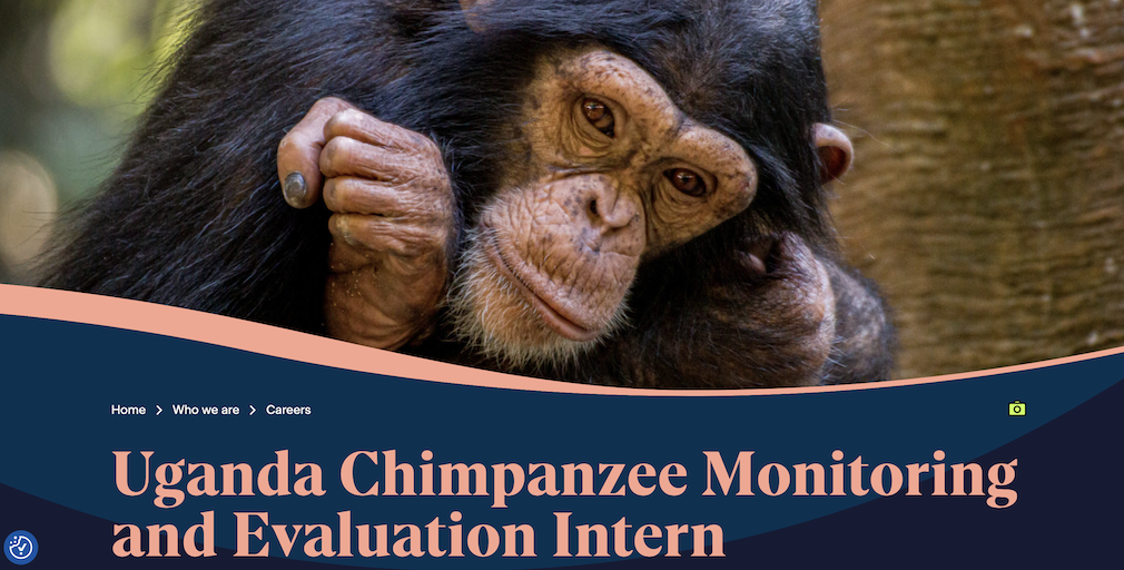 Primate Jobs from around the world — World Ape Fund