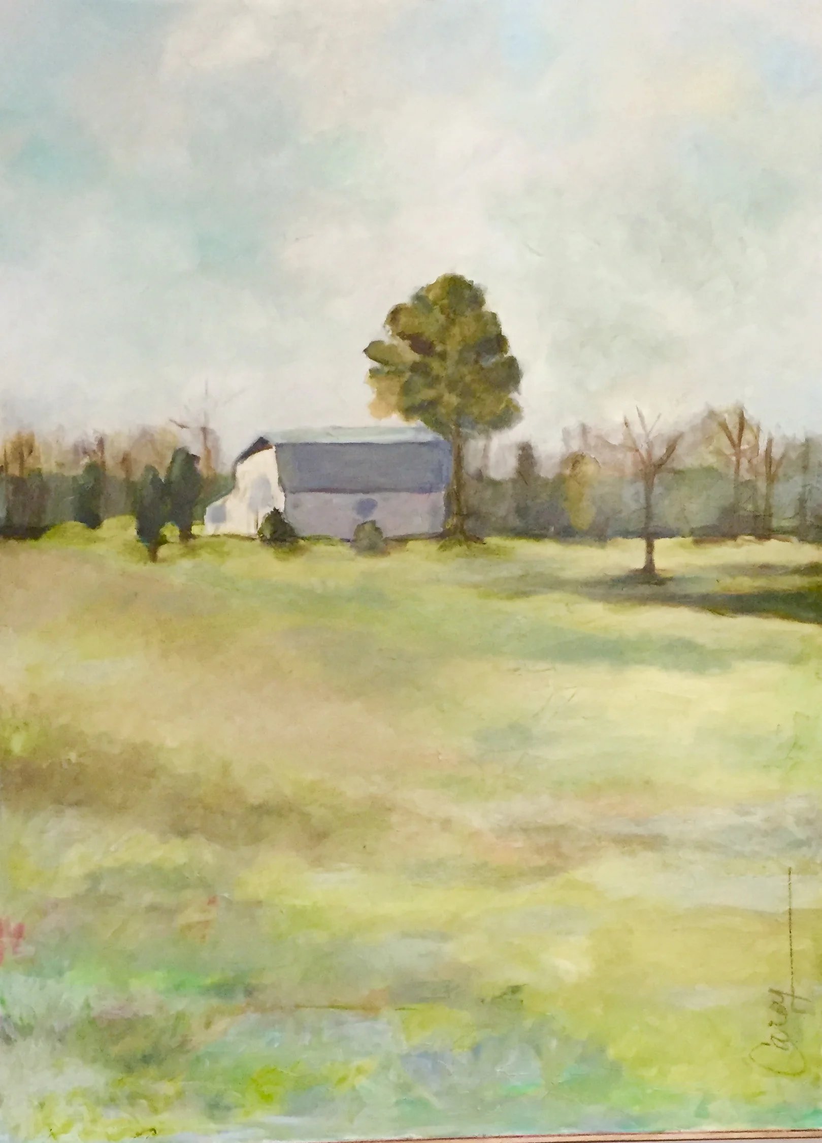 carey haynes art