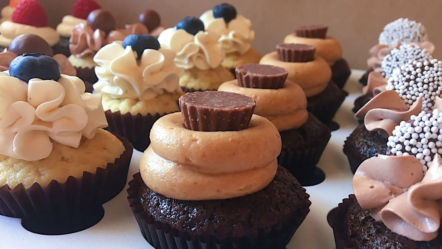 Cupcakes in Rochester, NY | Dolce Cupcakery