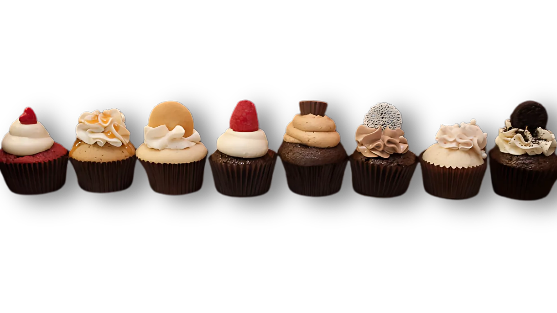 Dolce Cupcakery-Cupcakes in Rochester, NY | Dolce Cupcakery