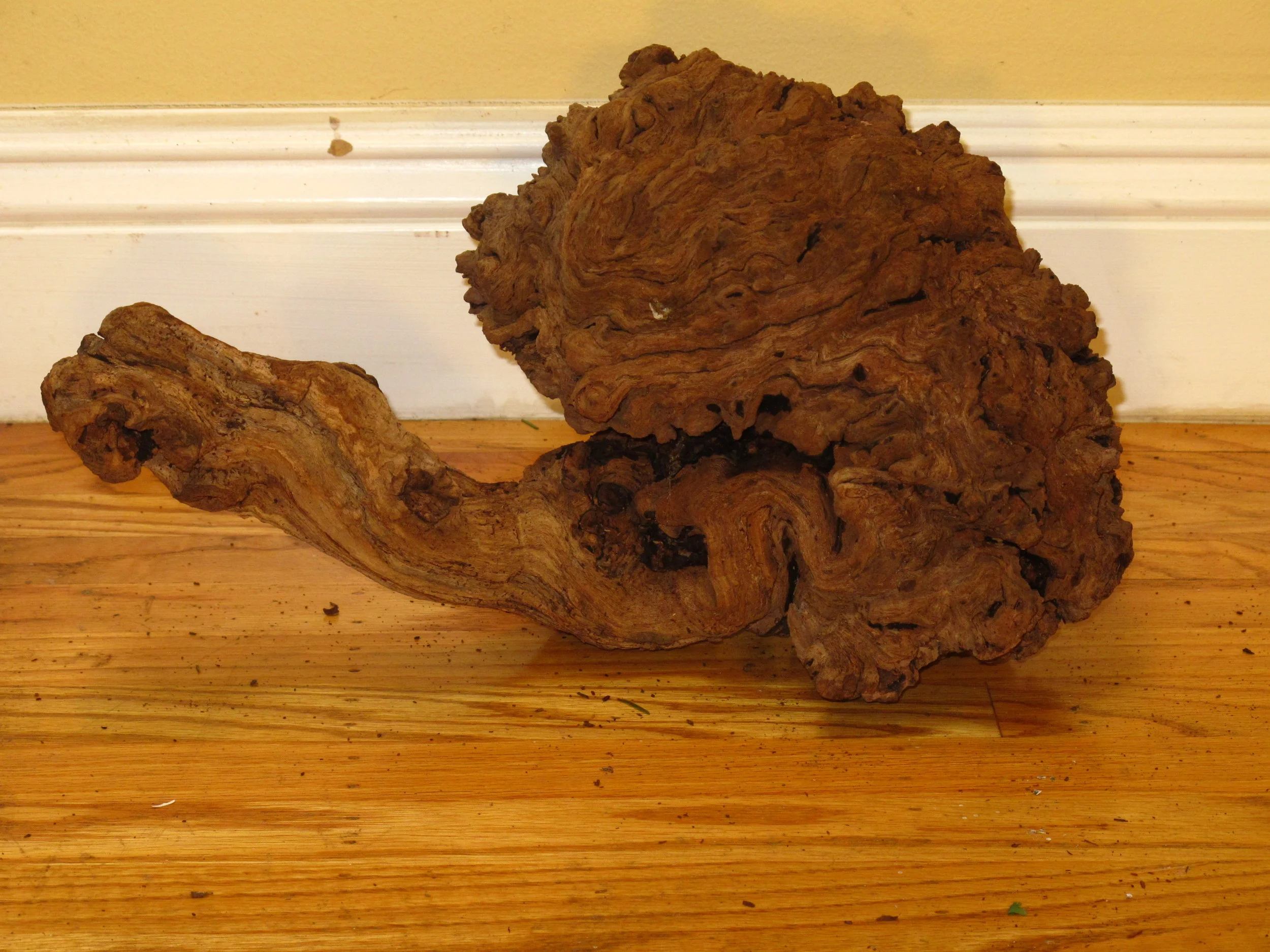 Found Pieces — California Redwood Root Company