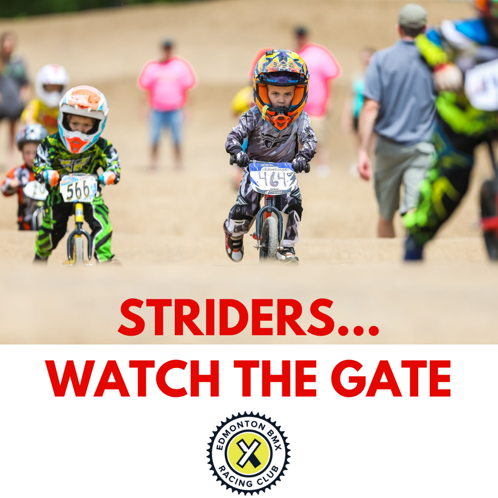Strider races — Edmonton BMX