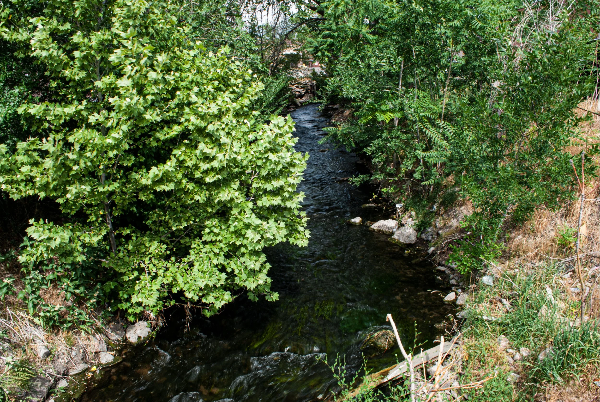 Seven Creeks Walk Series | Seven Canyons Trust