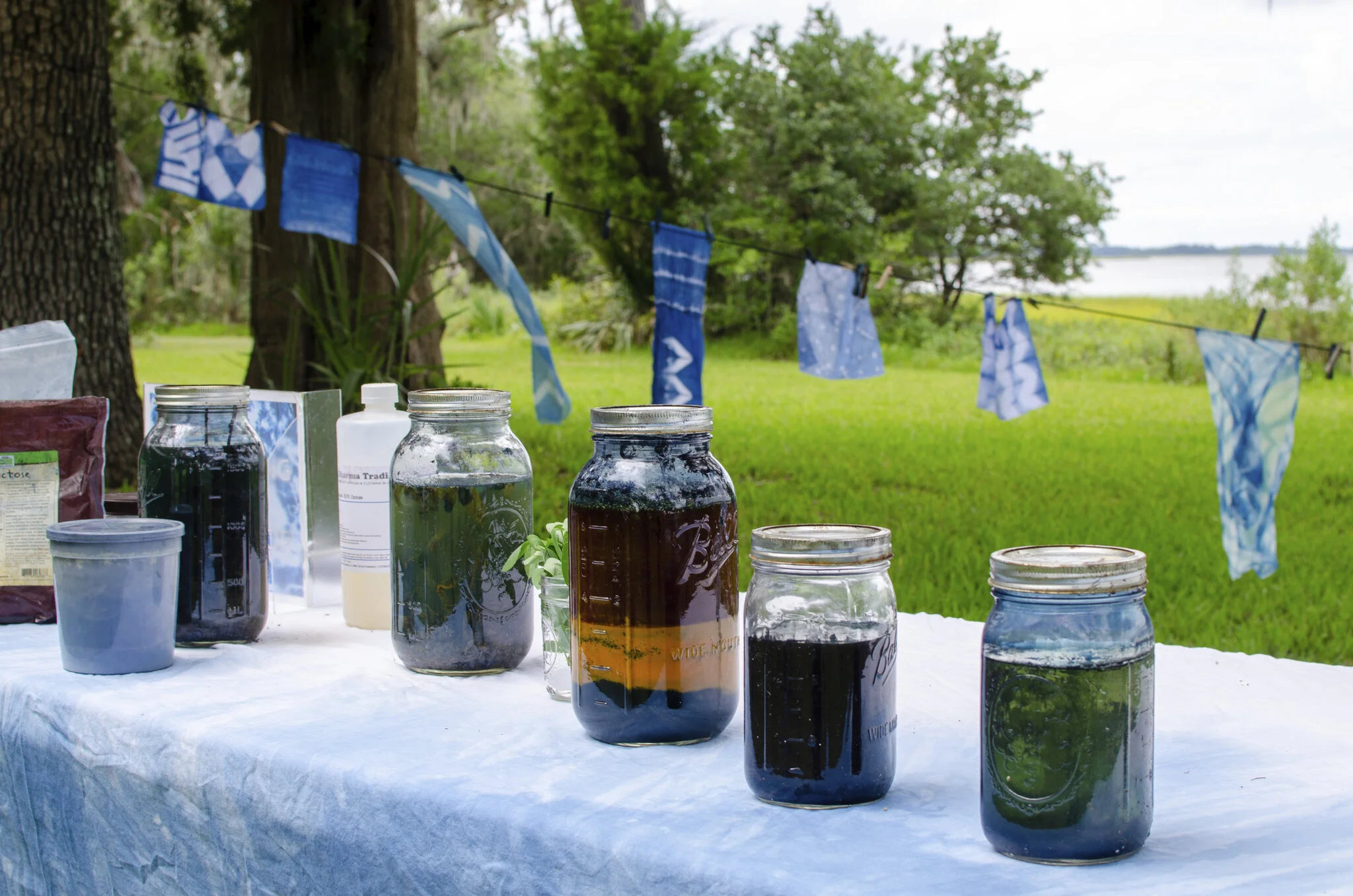 Upcoming — Kristy Bishop