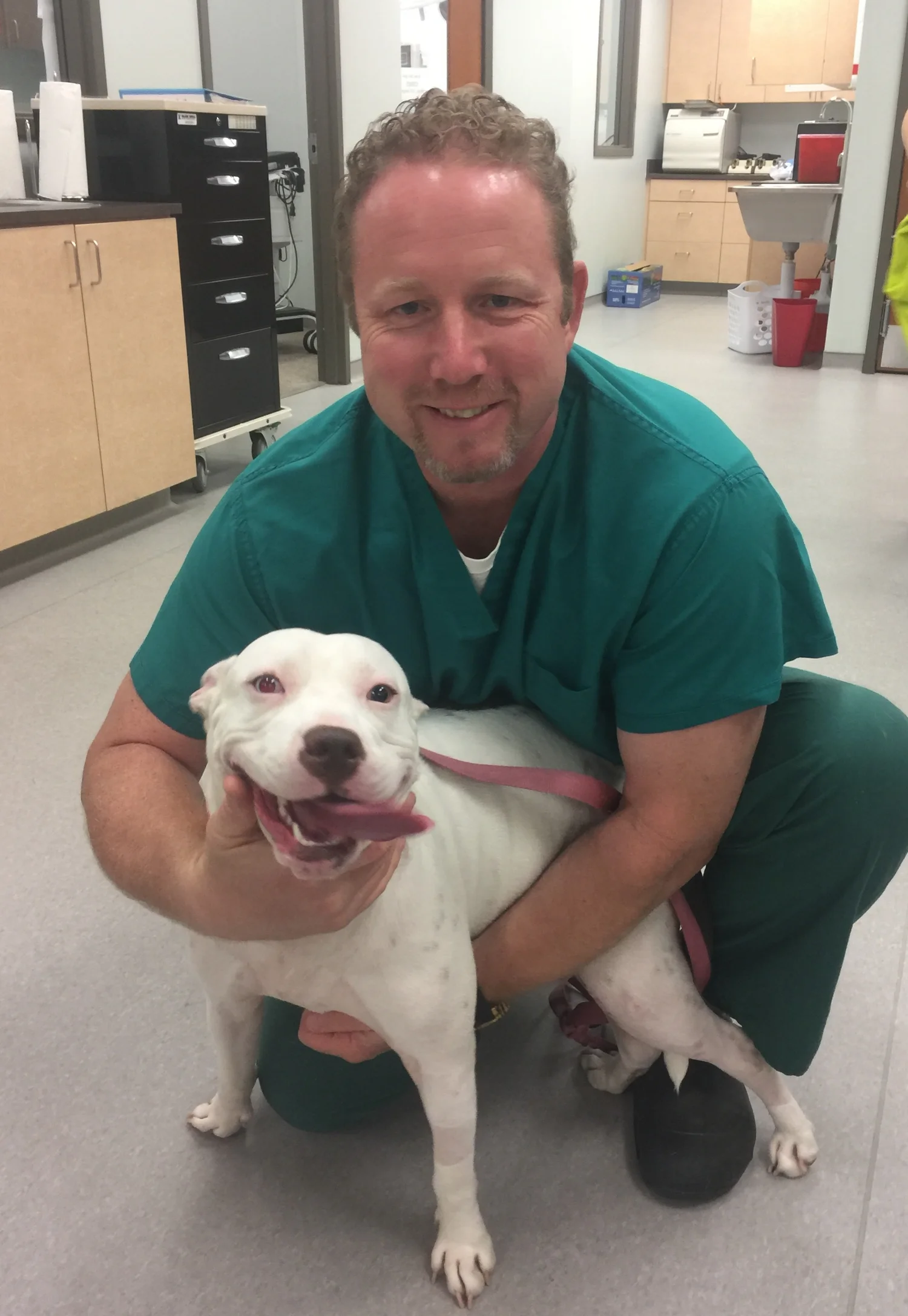 Meet Our Doctors — Triangle Veterinary Referral Hospital of Holly ...