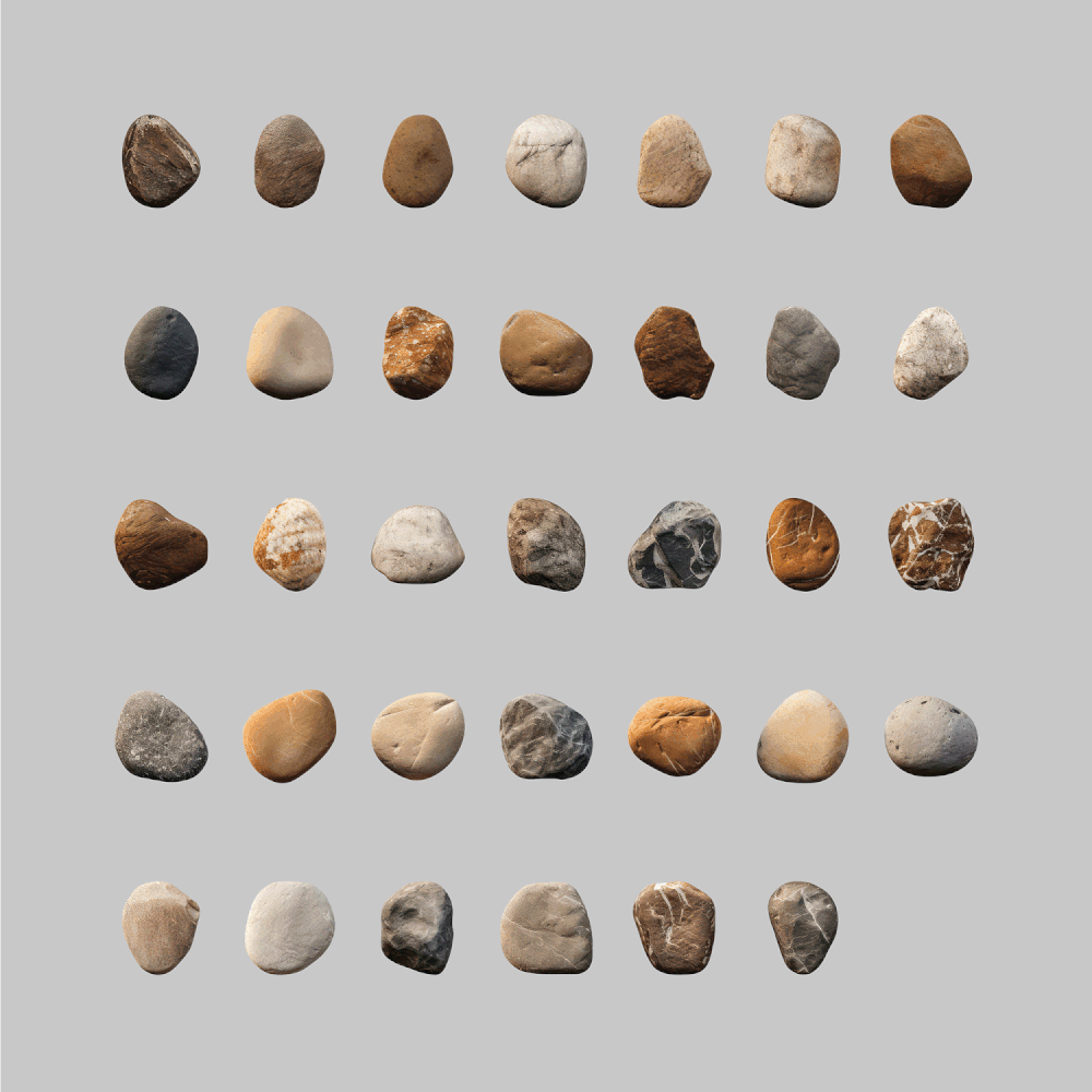 2024 Desktop Calendar + Folder Icons — Sarita Walsh