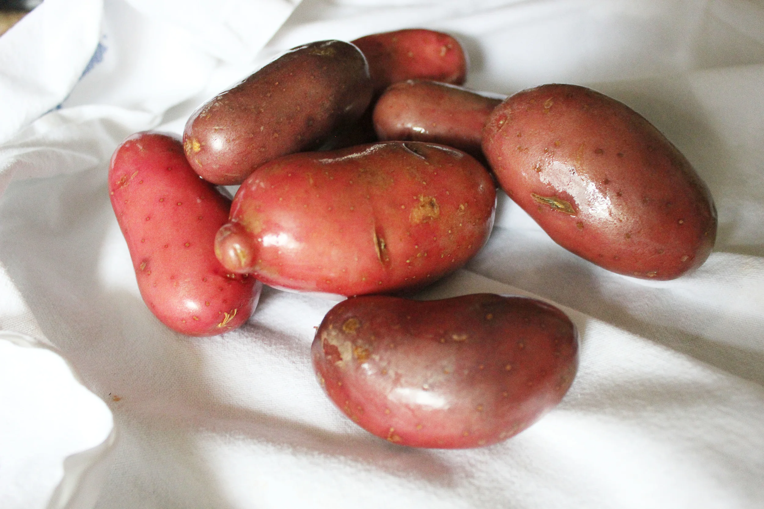 A Very Parisian Dinner — Fancy Casual