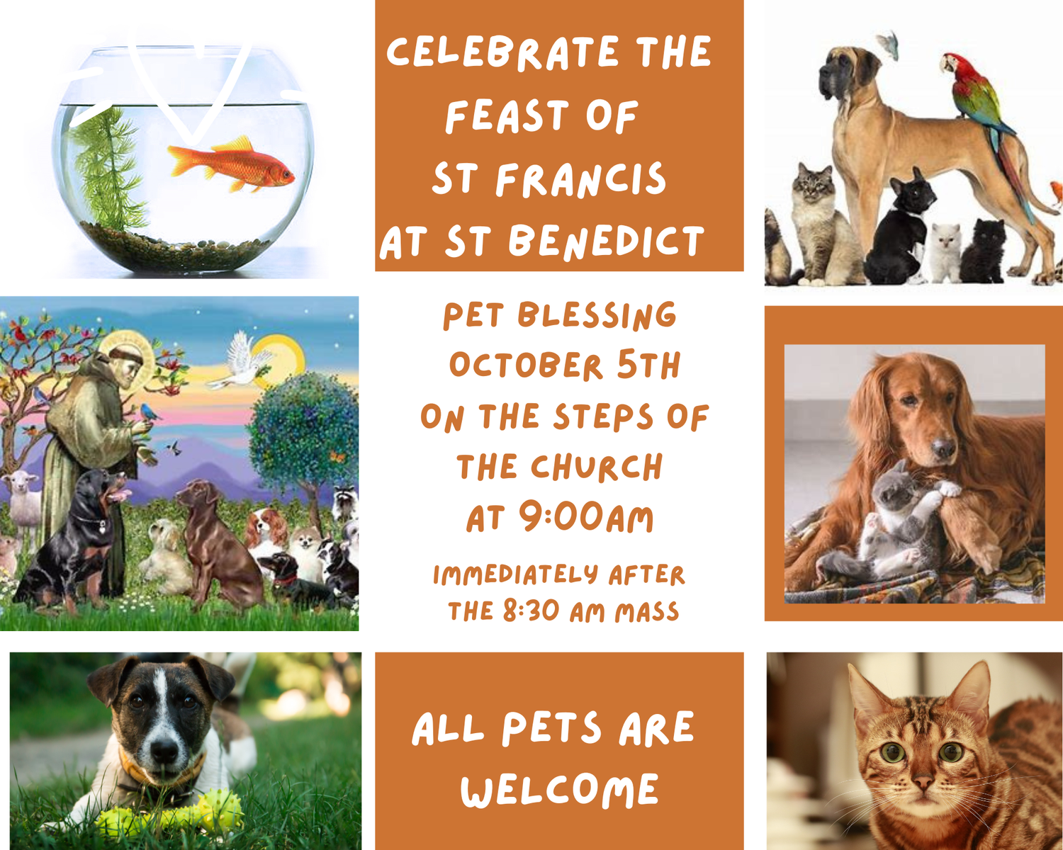 Celebrate the Feast Day of St. Francis at the Pet Blessing — St ...