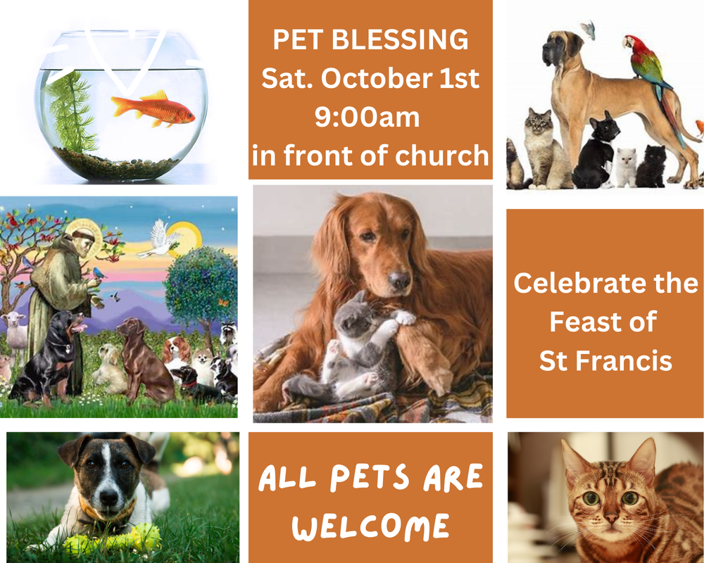 Celebrate the Feast of St. Francis with our Pet Blessing — St. Benedict ...