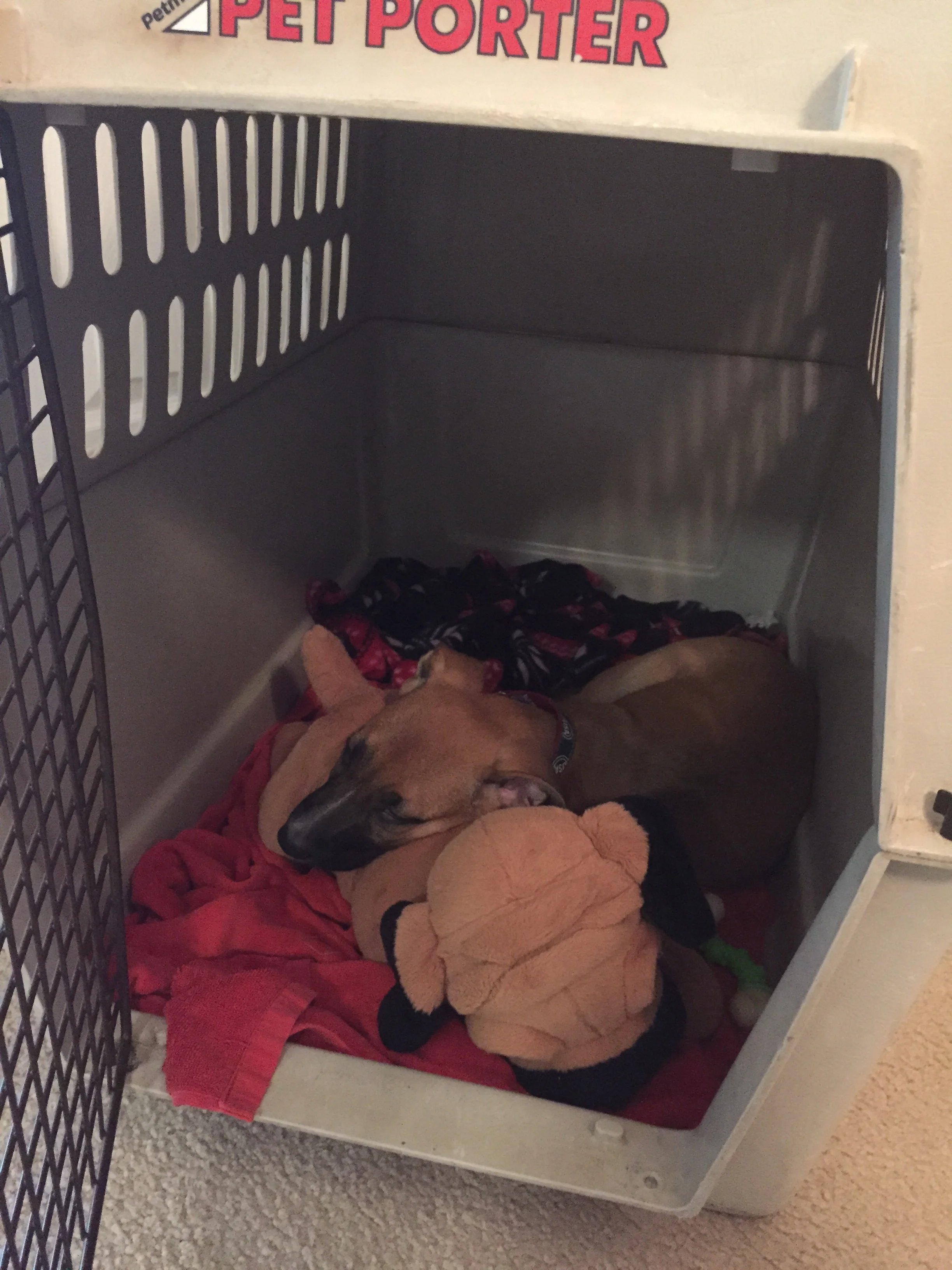 Mariah + Garrett: A Wedding Weekend Celebration at Leatherwood Mountain ...