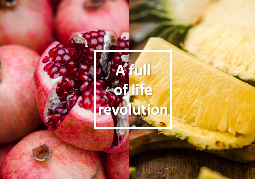 Branding Strategy for Frio, a patented healthy frozen snacks brand ...