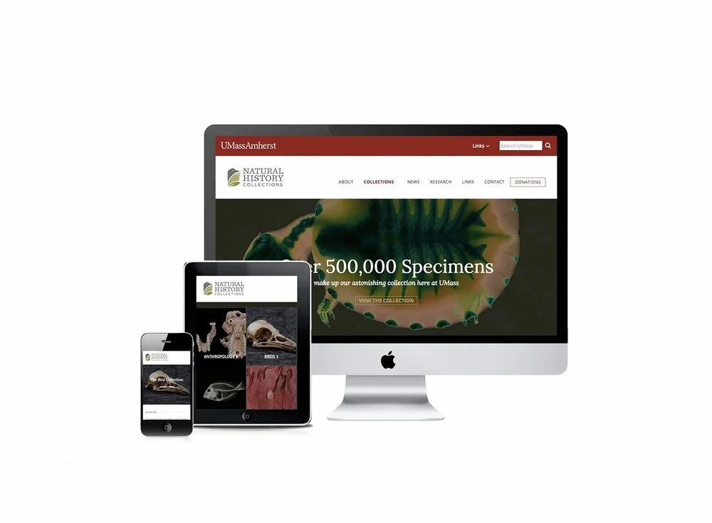 Natural History Collections — Zoe Design Works