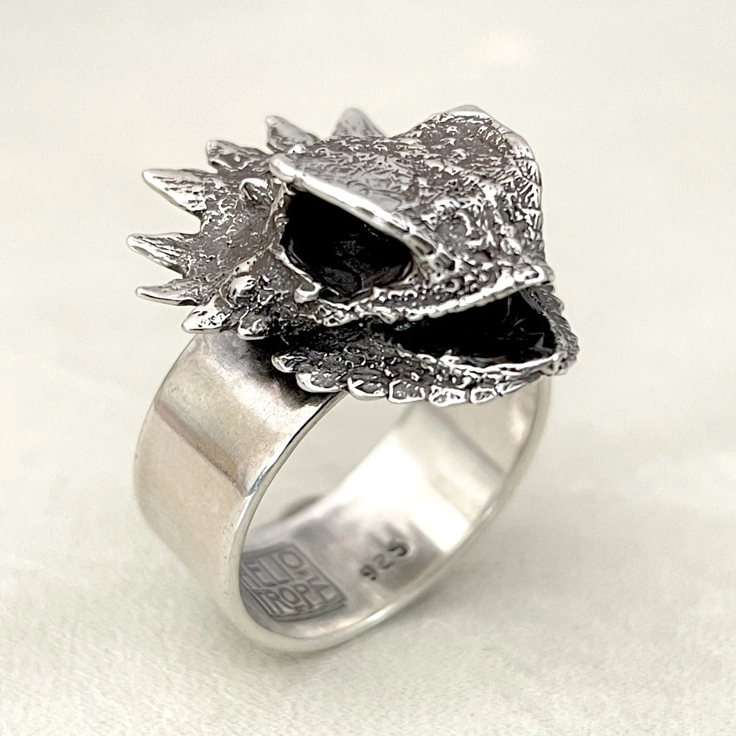 Horned Lizard Skull
