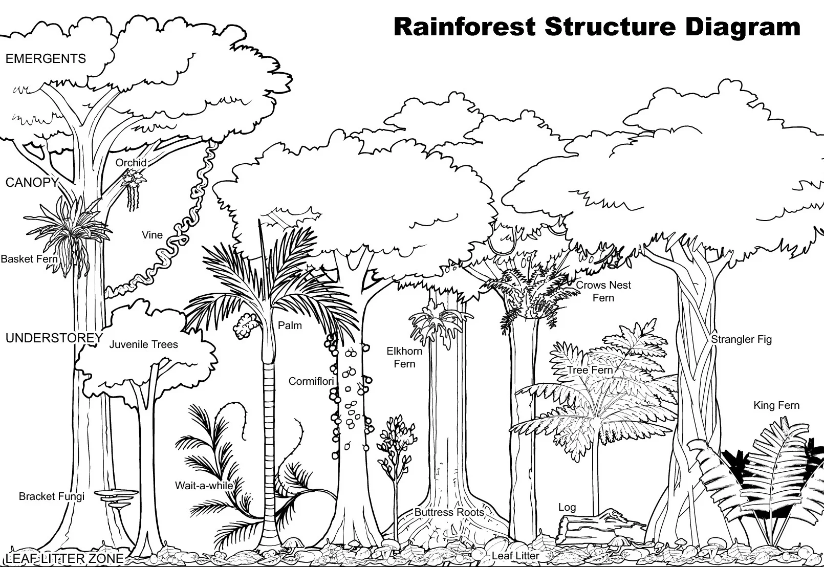 Tropical Rainforest Climate — geo41.com