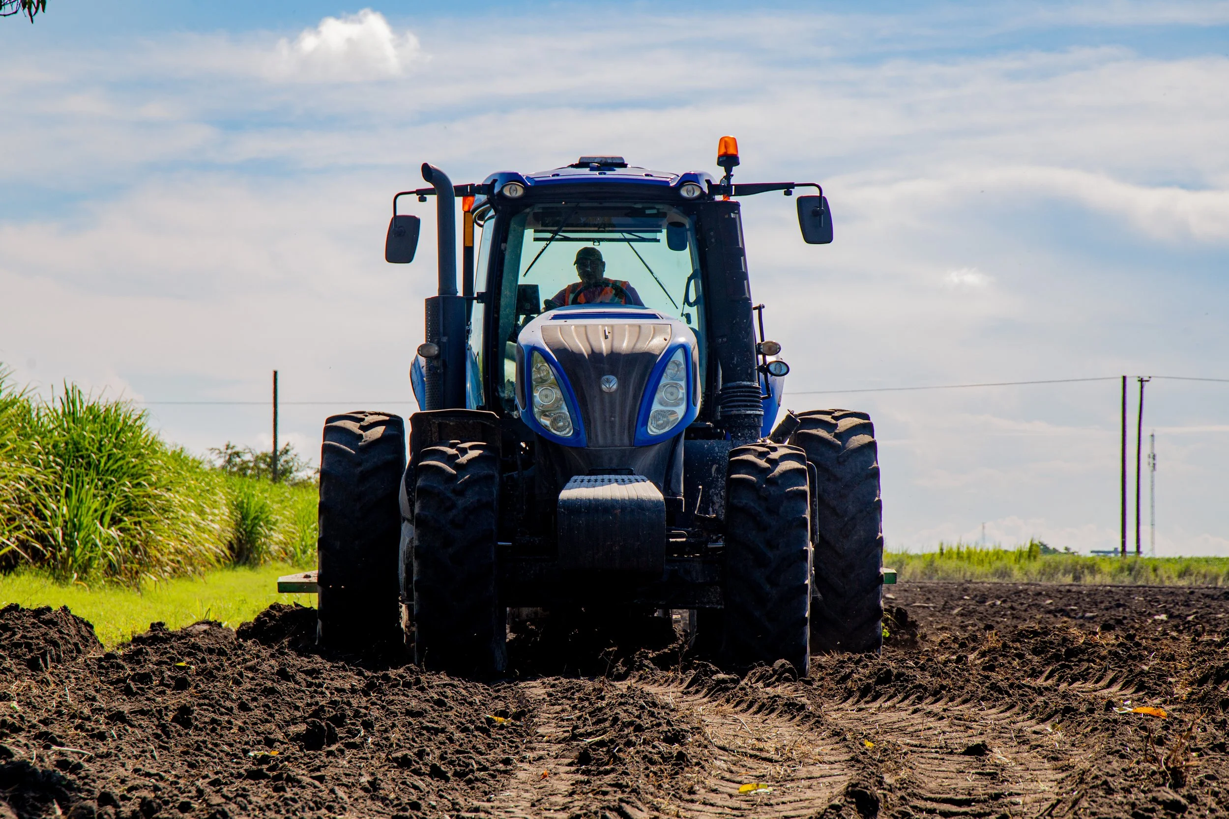 Northern Sugar Industry of Belize