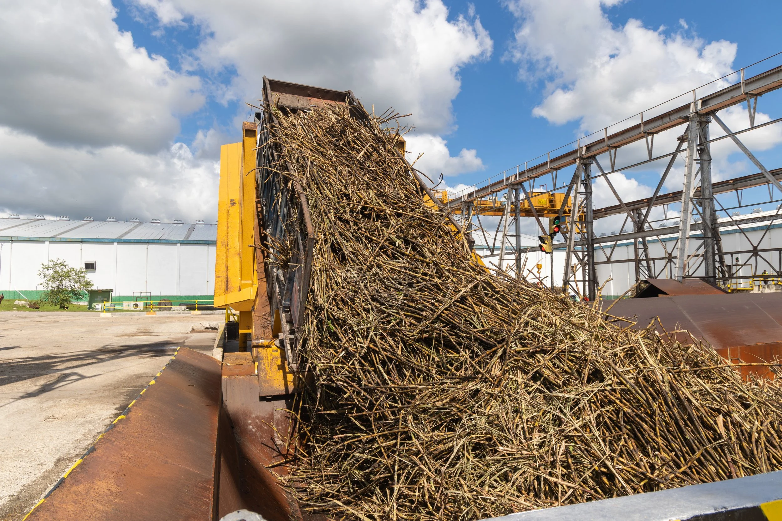 Northern Sugar Industry of Belize