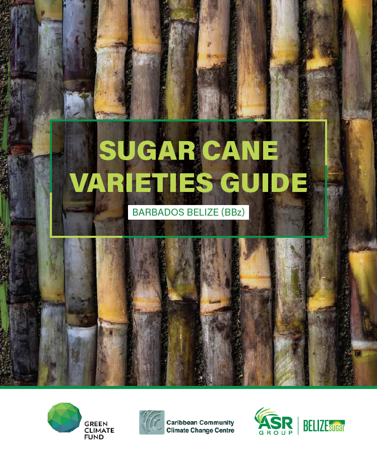 Northern Sugar Industry of Belize