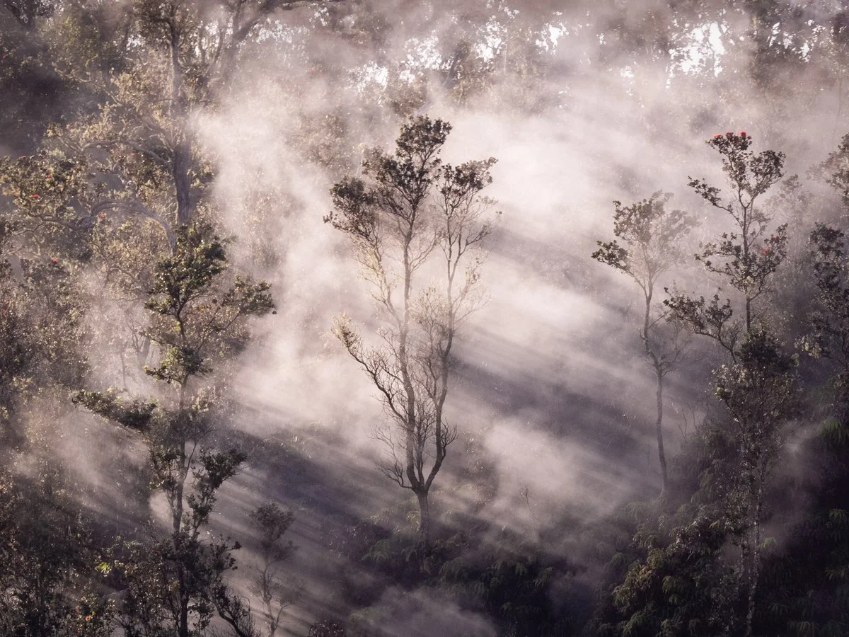 LUMINOUS, a fine art photography exhibition juried by CRISTA DIX ...