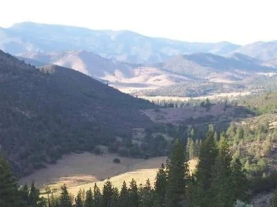 OUR HISTORY — FIVE MARYS FARMS