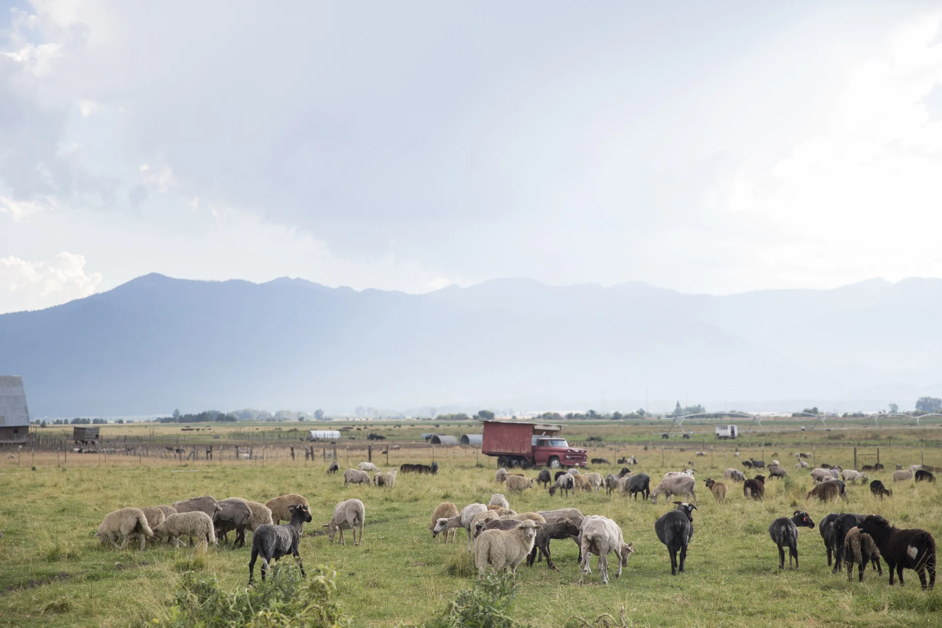 GIFTS – Five Marys Ranch