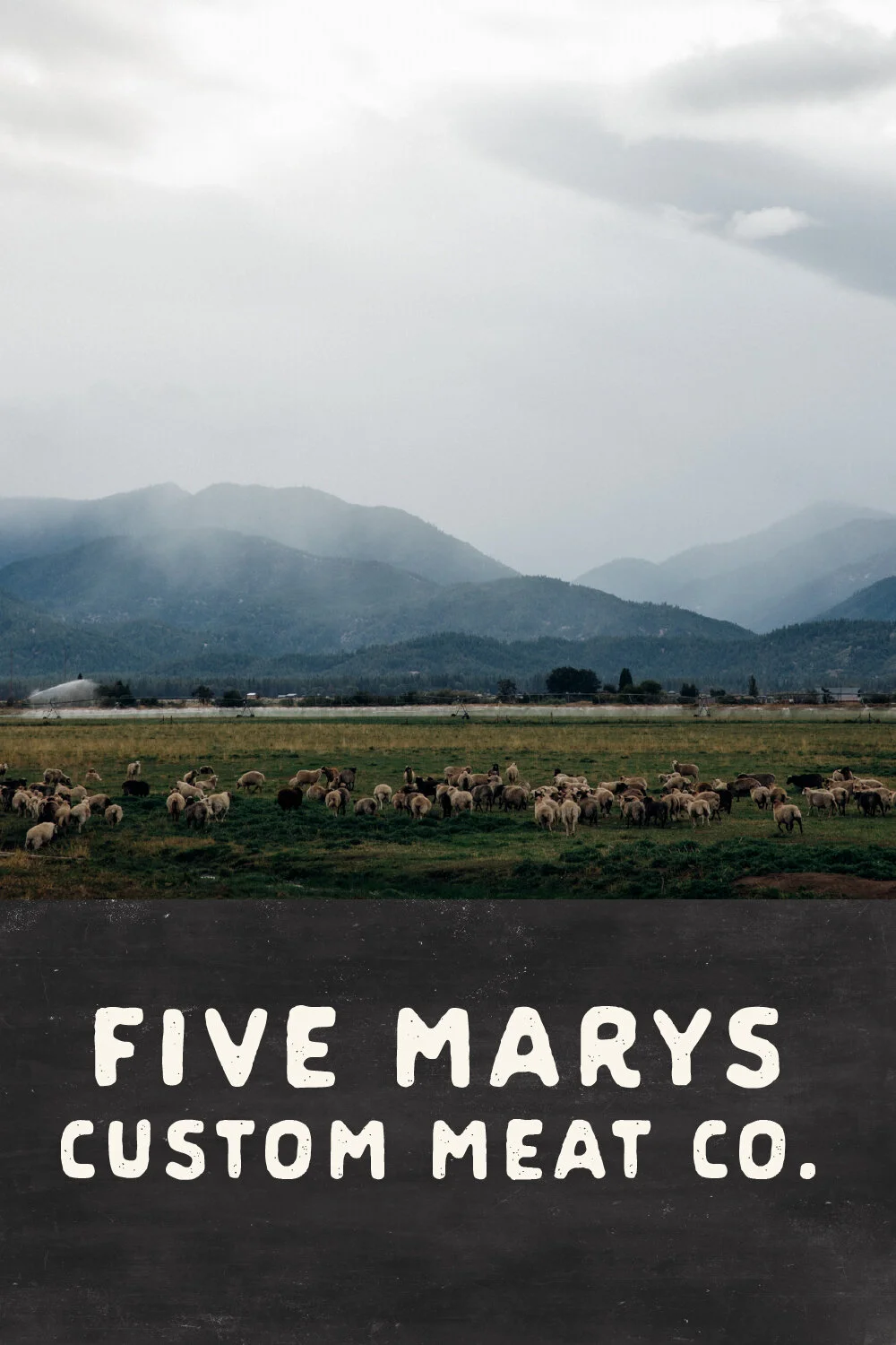 FIVE MARYS RANCH