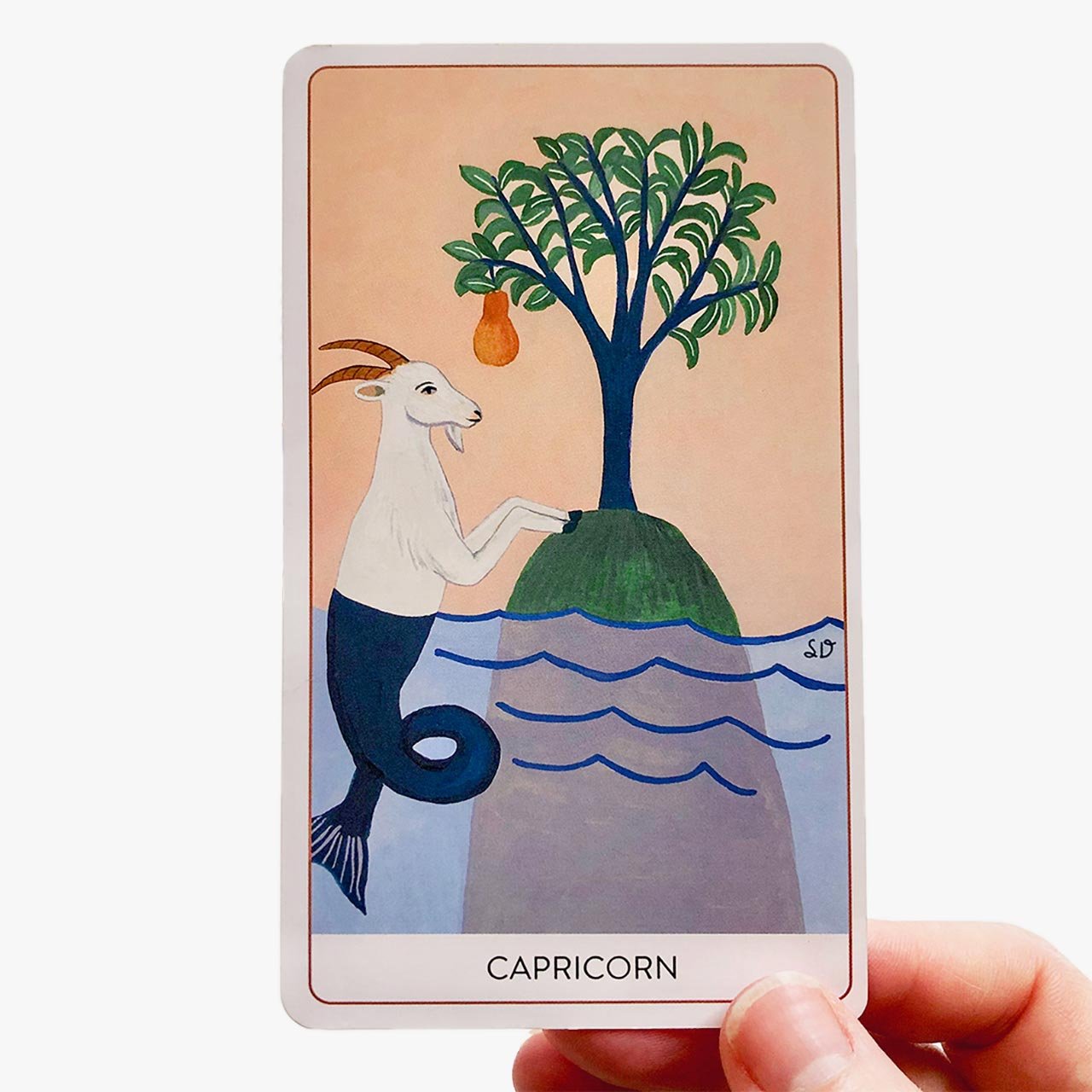 Myth and meaning of Capricorn — Sophiequi