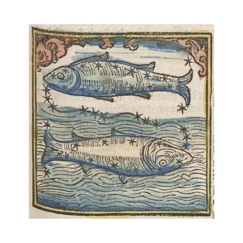 Myth and meaning of Pisces — Sophiequi
