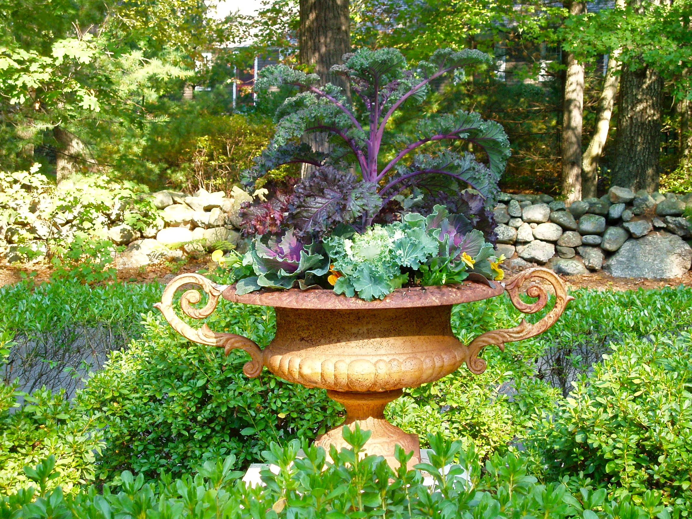 Container Planting — Lasting Impressions