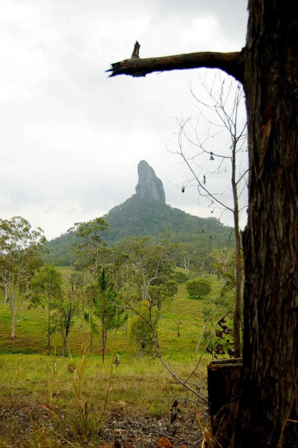 glass house mountains — bronwen hyde - photographer