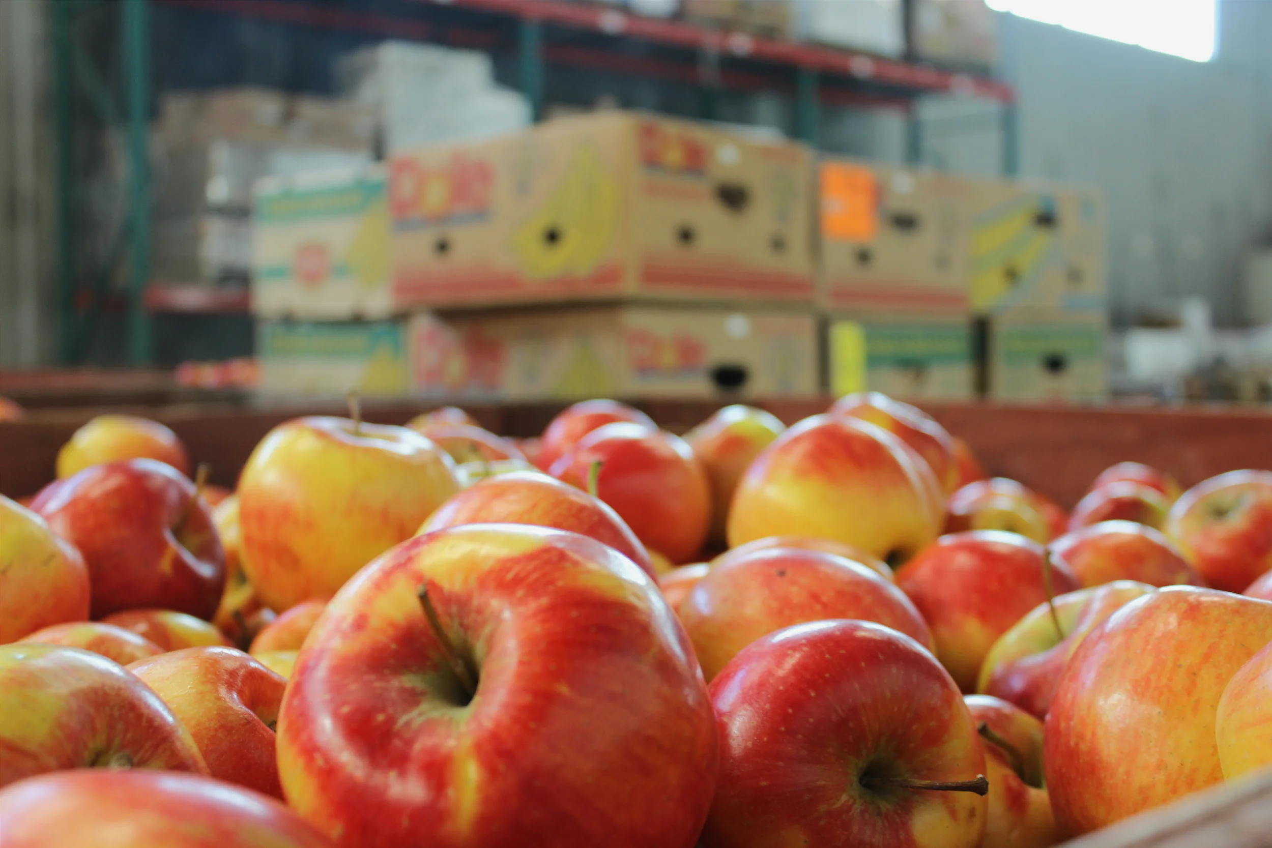 Fresh Alliance — Clark County Food Bank