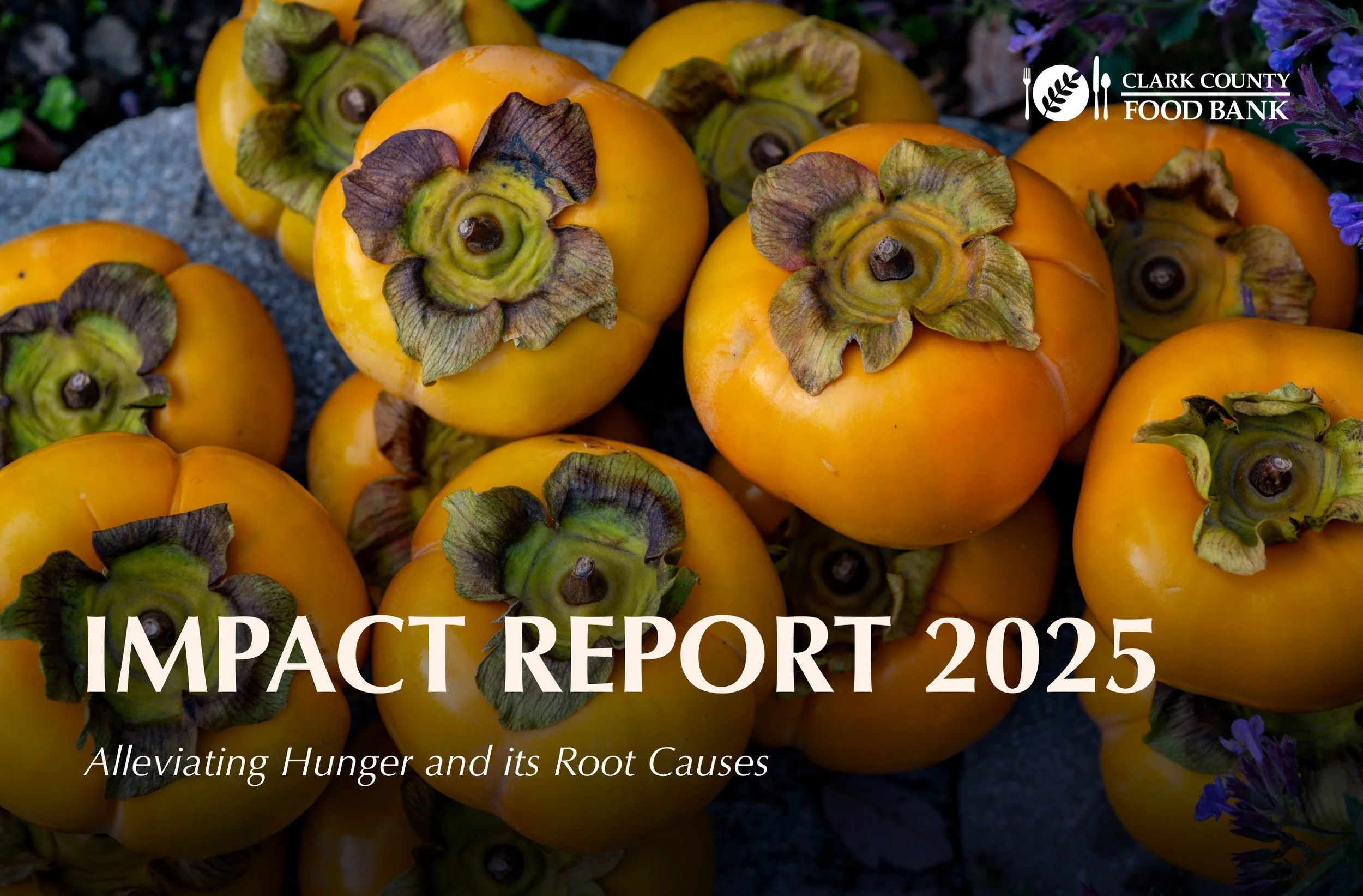 Annual Impact Report — Clark County Food Bank