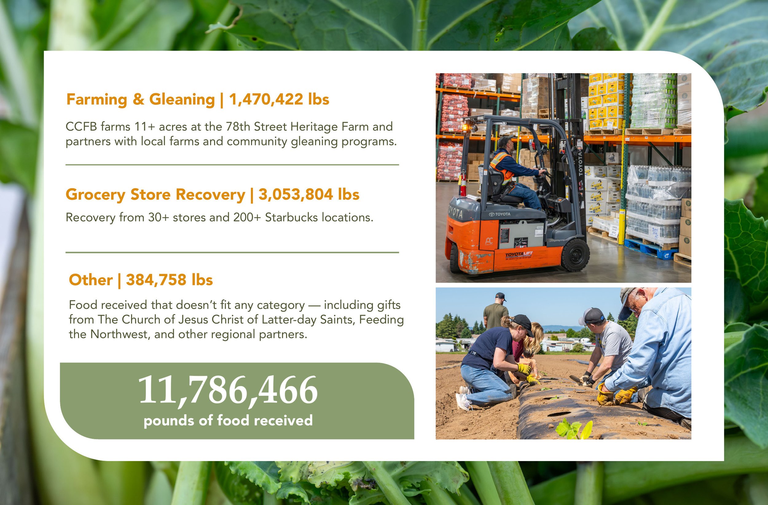 Annual Impact Report — Clark County Food Bank