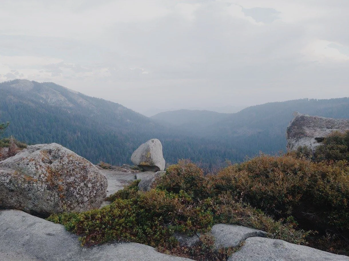 The Hike — Coffee + Crumbs