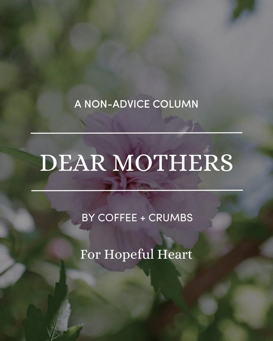 SPRING COLLECTION 2024 — Coffee + Crumbs