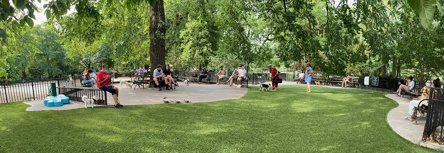 Tompkins Square Dog Run