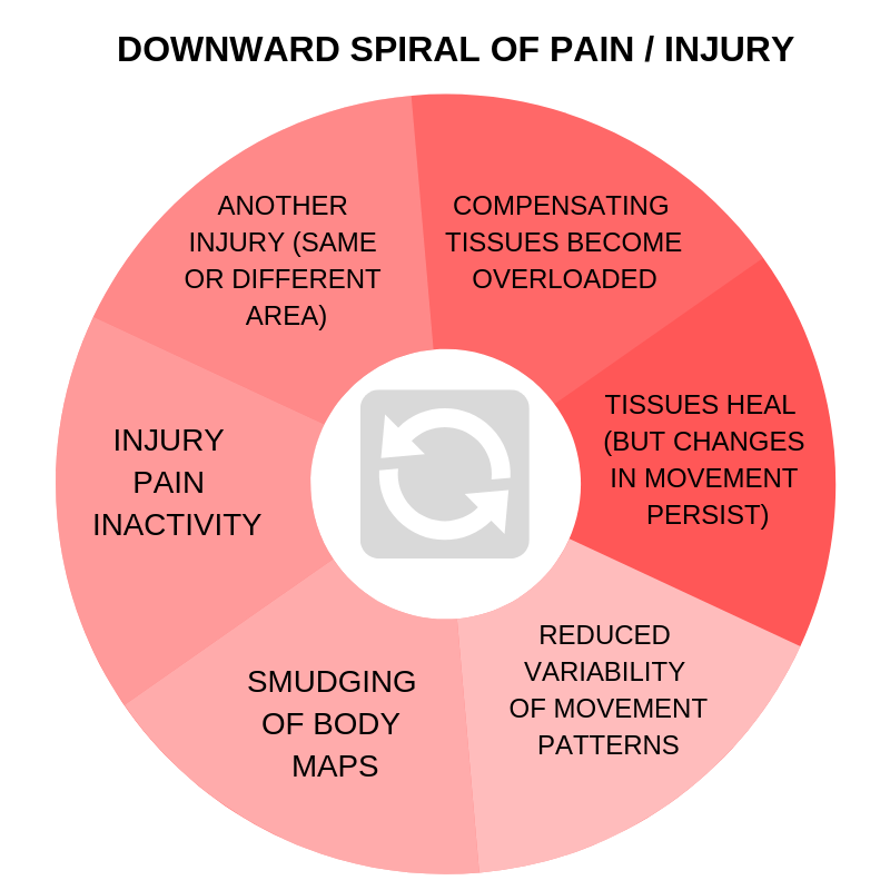 Neuroplasticity — Blog — Kinfolk Physiotherapy & Wellness