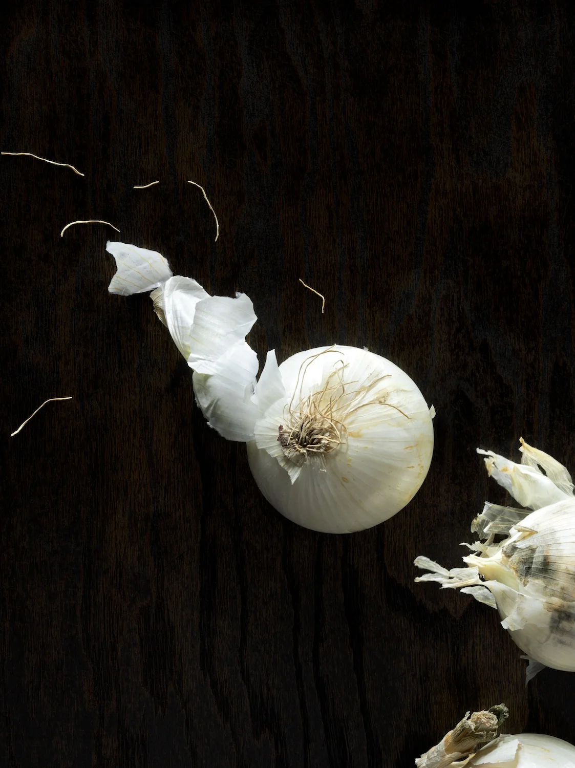 Robert Olding | Photographer