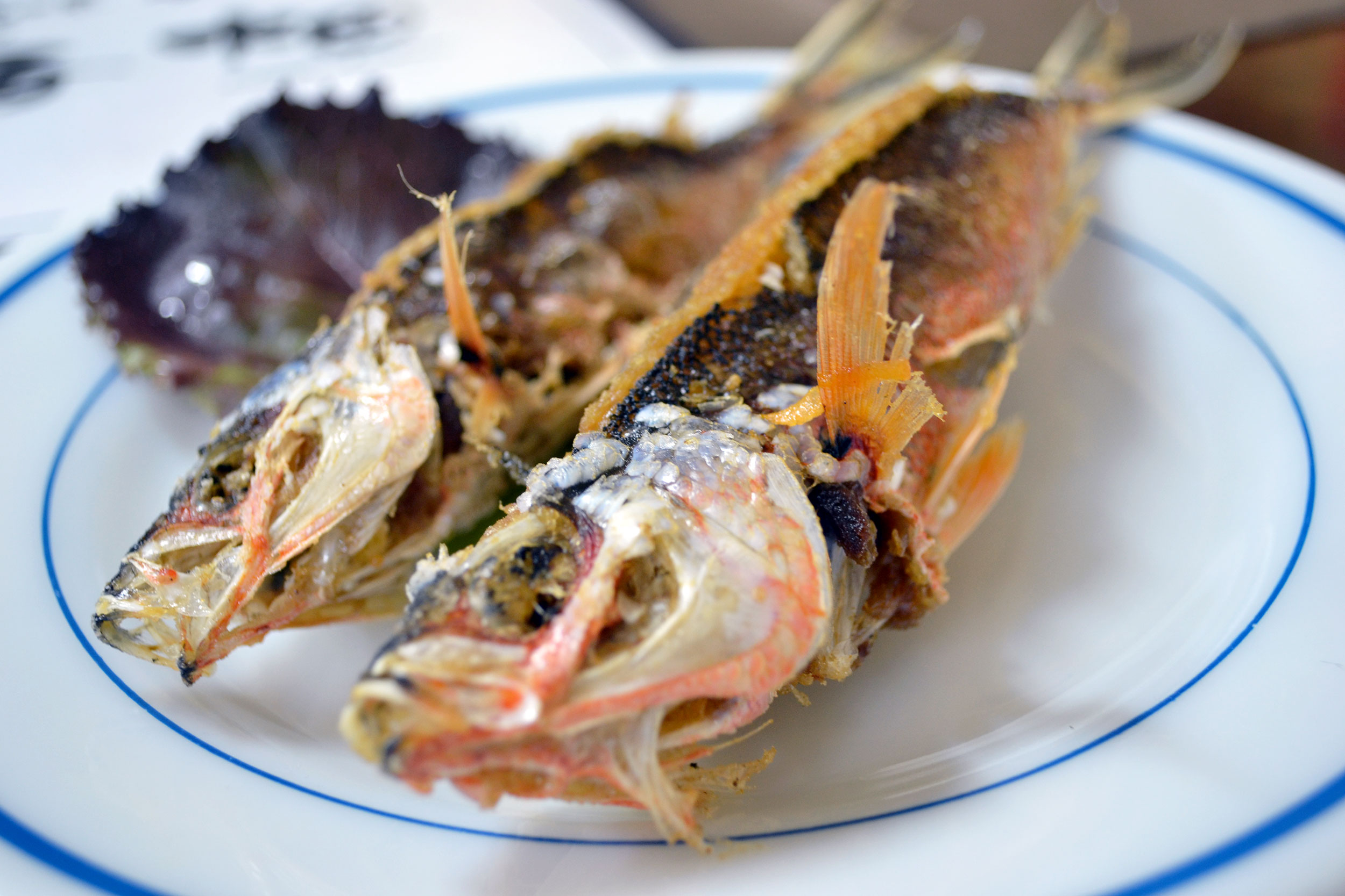 Okinawa: Naha & Zamami — Barrett