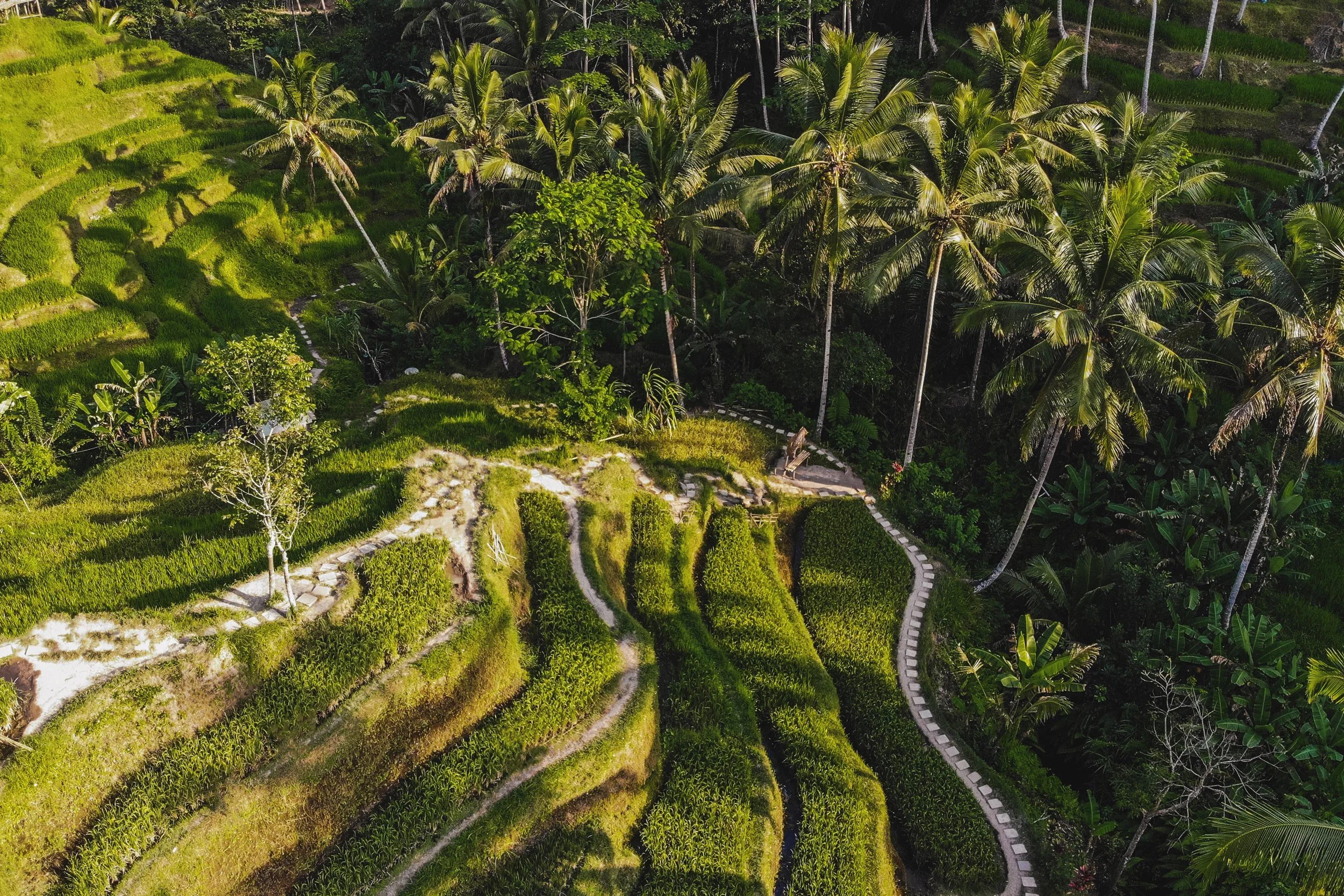 A Review of Nau Villas in Ubud, Bali — Barrett