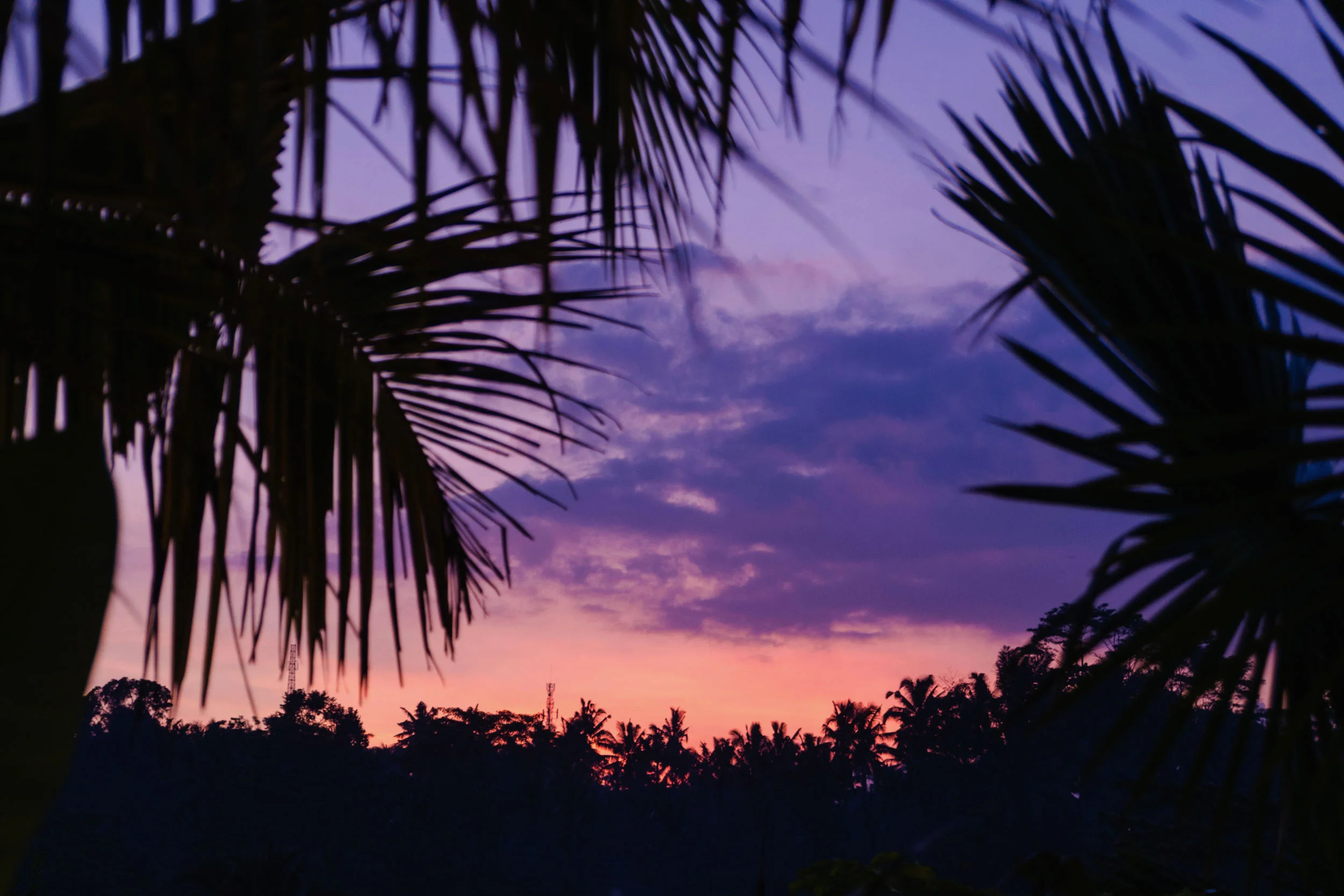 A Review of Nau Villas in Ubud, Bali — Barrett