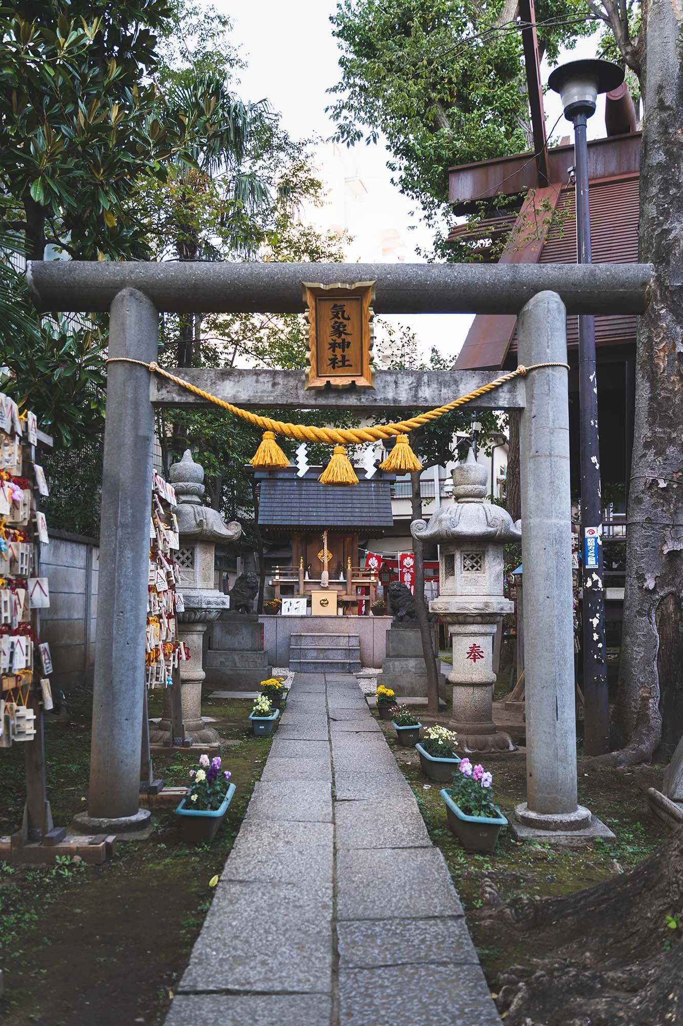 Exploring Koenji, Tokyo, one of the city's coolest neighborhoods — Barrett