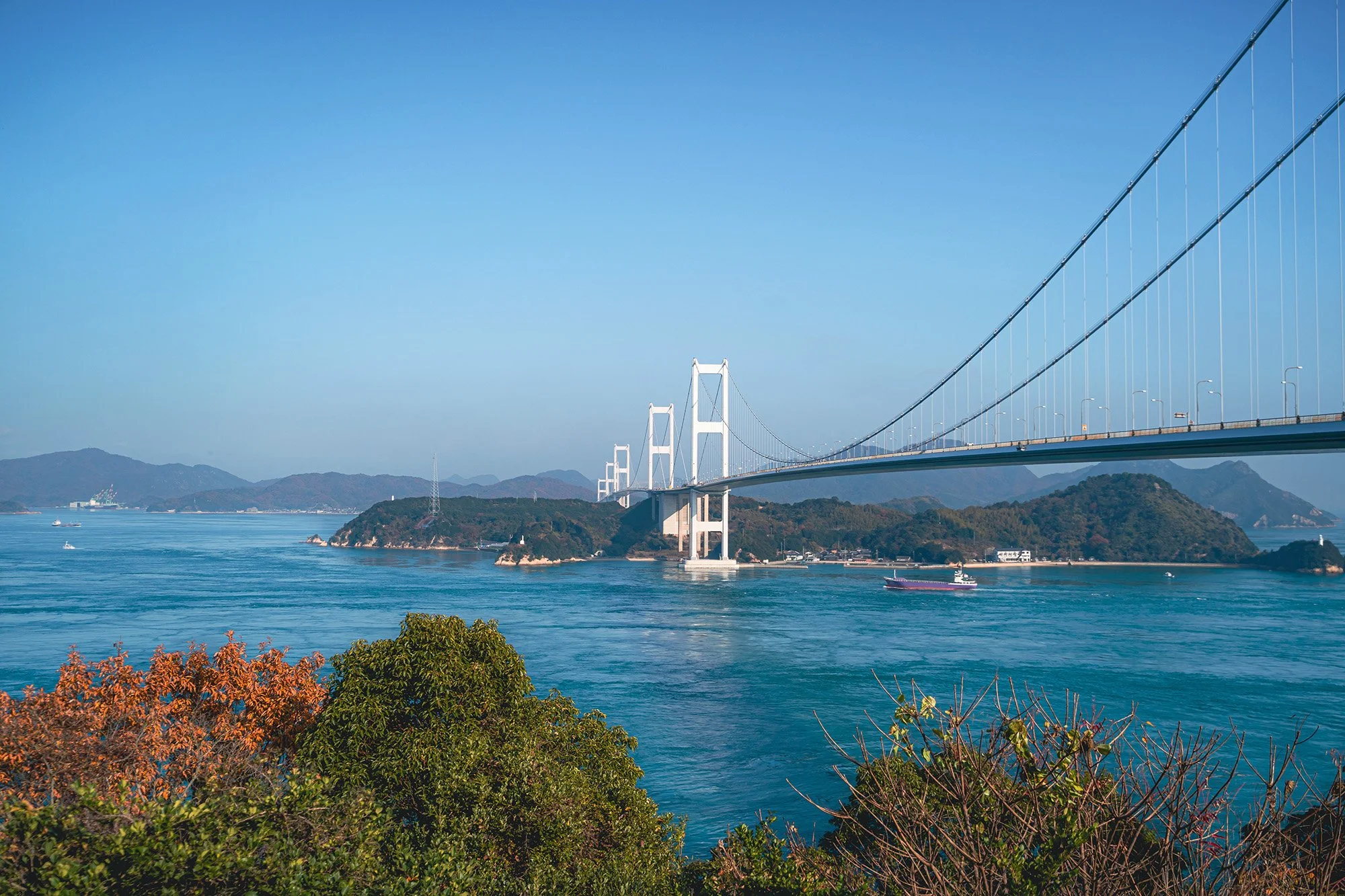 Free Japanese Cherry Blossom Smartphone Wallpapers — Barrett